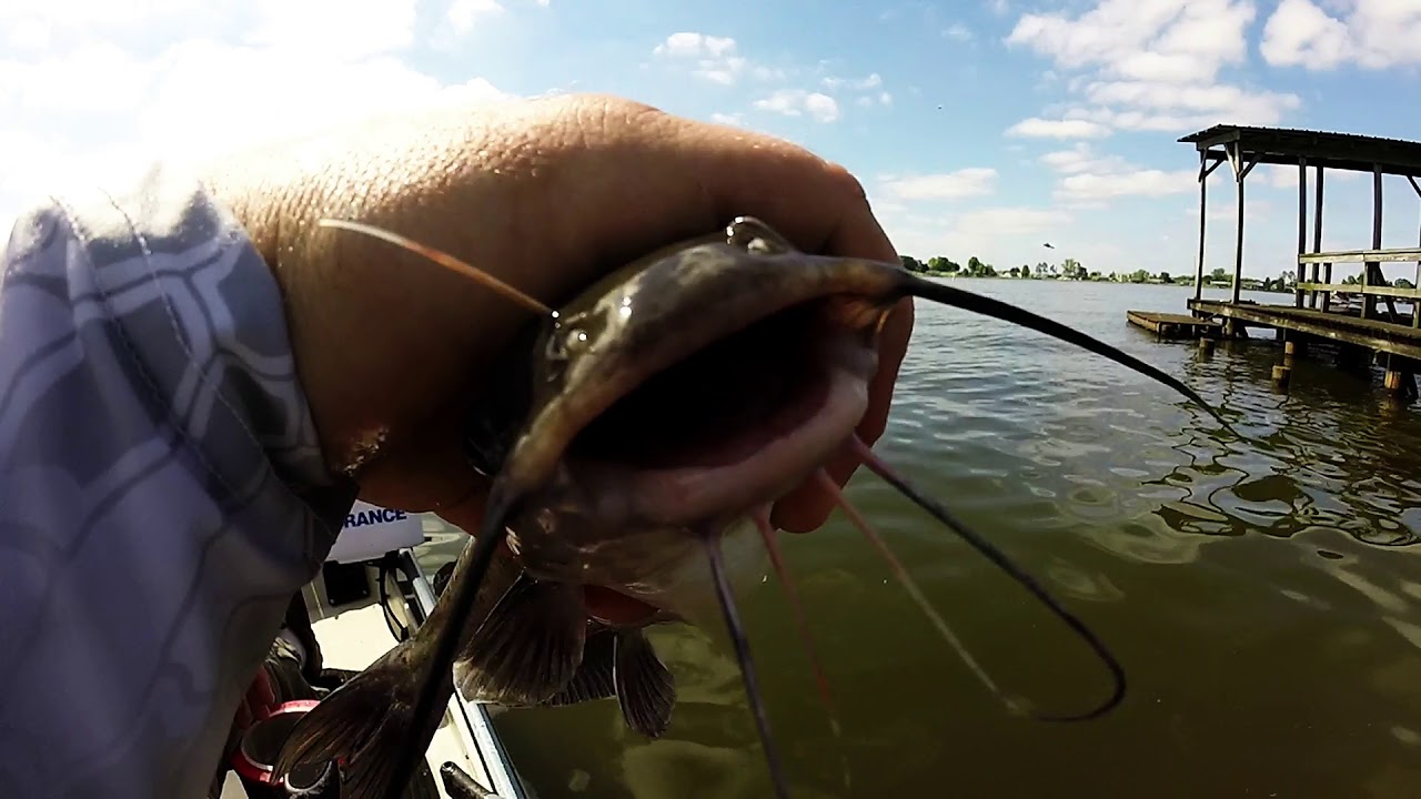 False River Kayak Fishing - YouTube