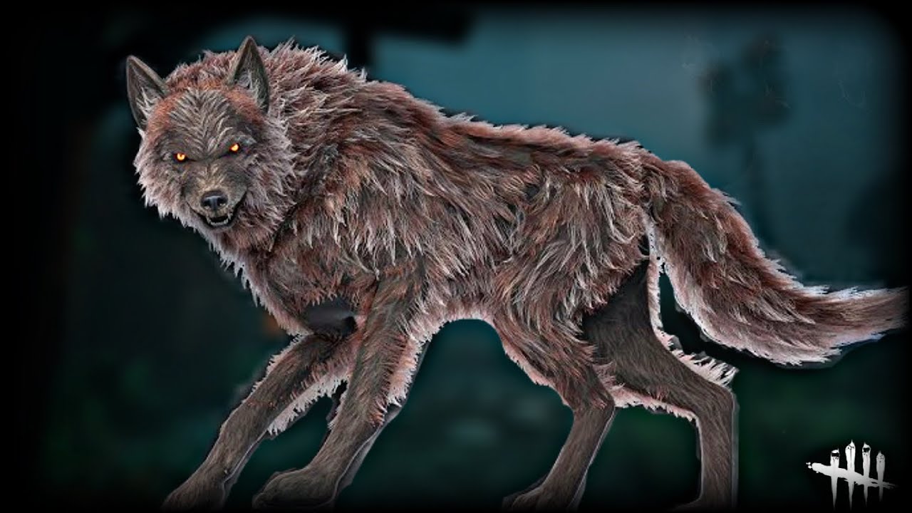 Using The WOLF ONLY Dracula Build In DBD - YouTube