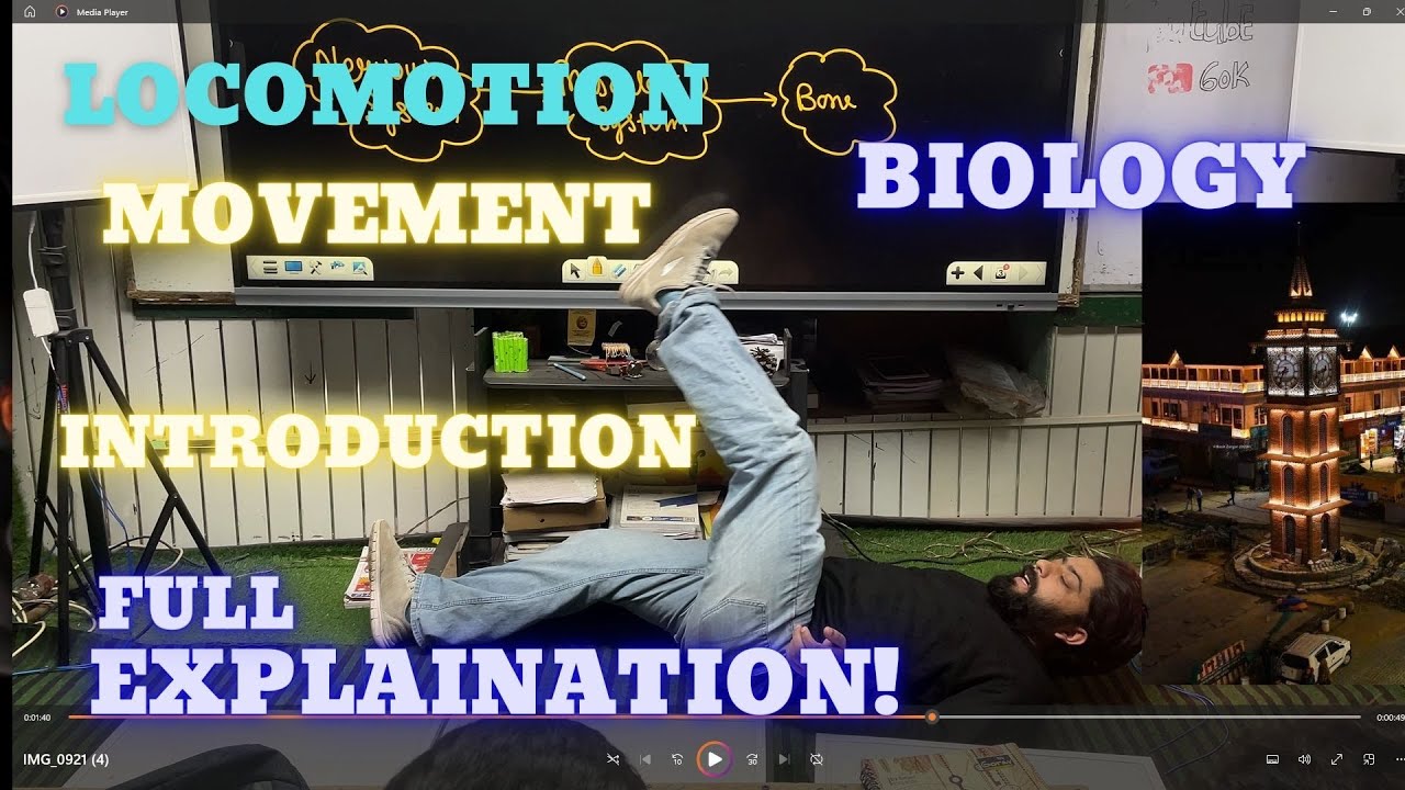 😂👌FUNNY INTRODUCTION OF LOCOMOTION AND MOVEMENT - YouTube
