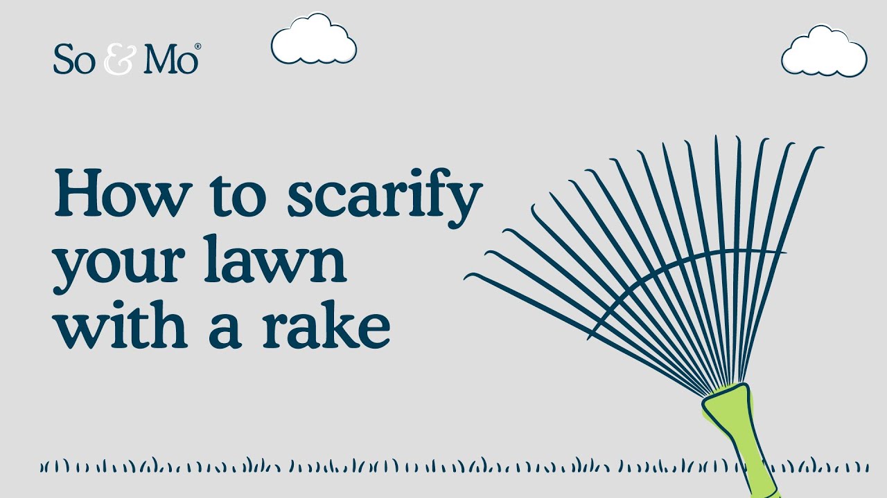How to scarify your lawn with a wire rake | So & Mo - YouTube