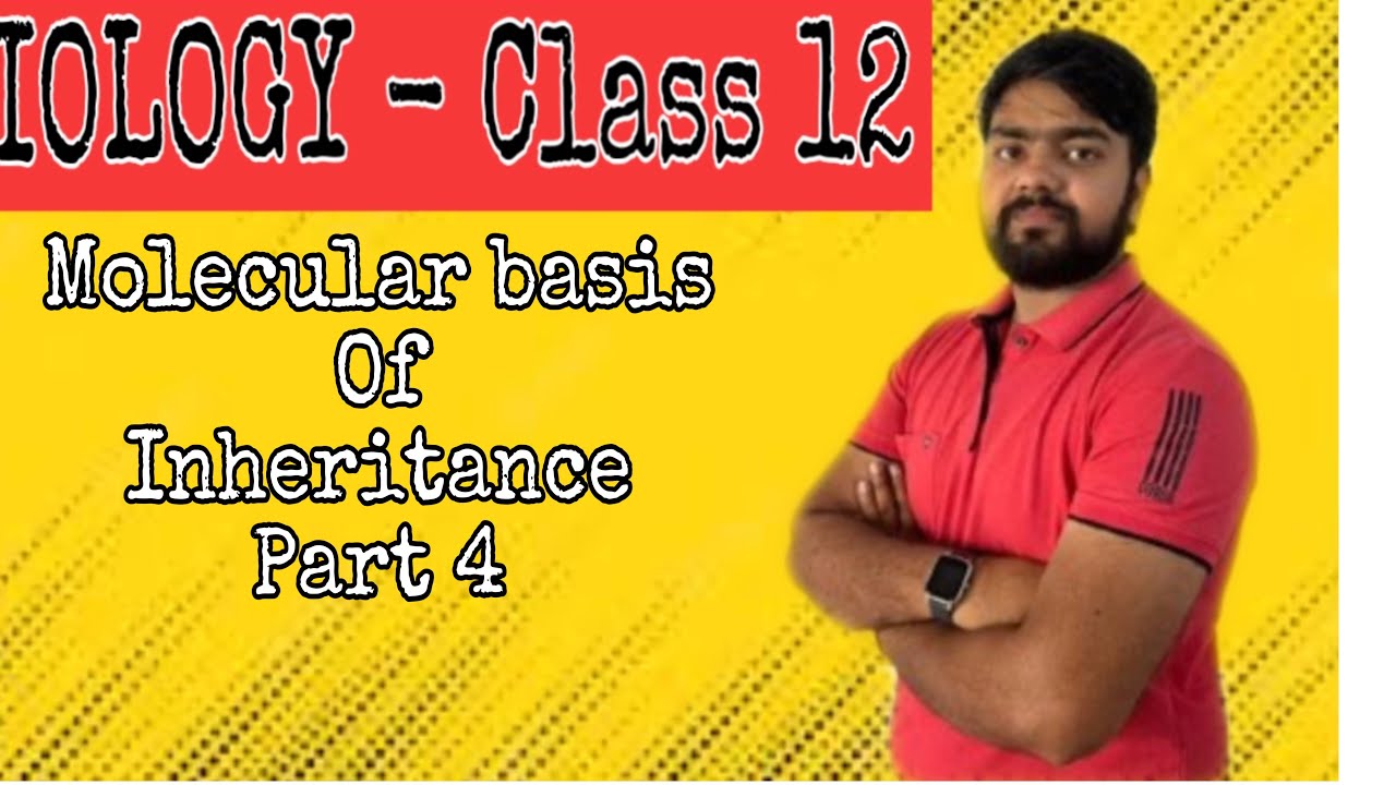 Molecular Basis Of Inheritance Part 4 Translation Class 12 Cbse Isc Biology