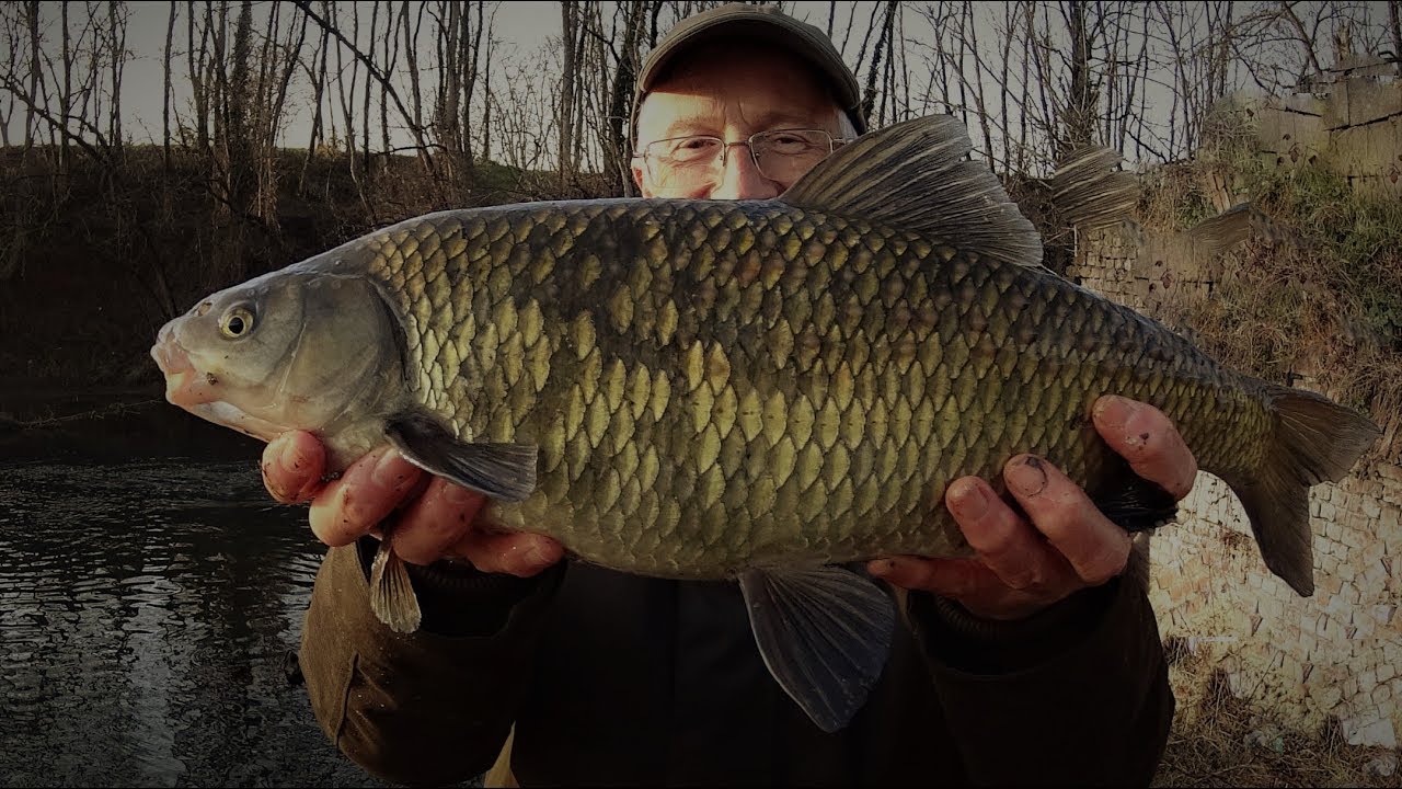 il pigo immenso - YouTube