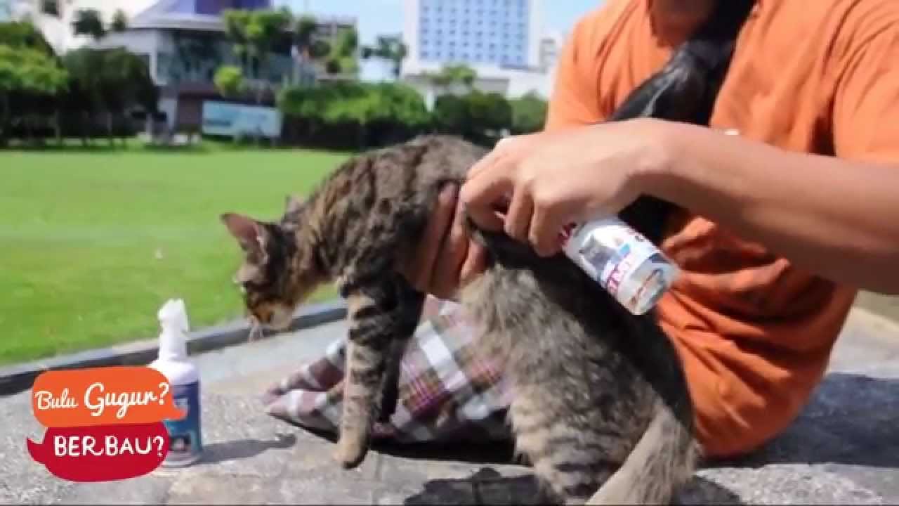 [Part 2] Cara Penggunaan Mudah SUPERCAT JUSZ SPRAY - YouTube