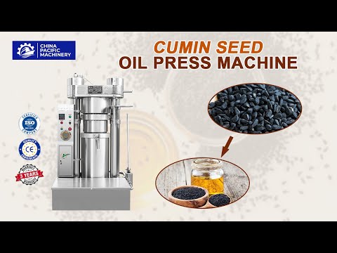Cumin Seed Oil Press Machine|Black Cumin Seed Oil Extraction|Cold Press ...