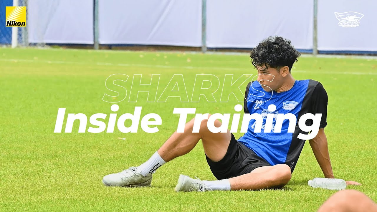 SHARKS Inside Training - YouTube