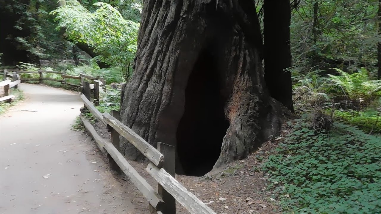 The Path Less Traveled - YouTube