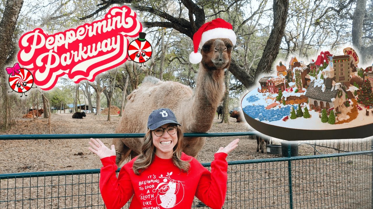 Christmas Around Austin | Peppermint Parkway, BBQ, & Camels?! | VLOGMAS ...