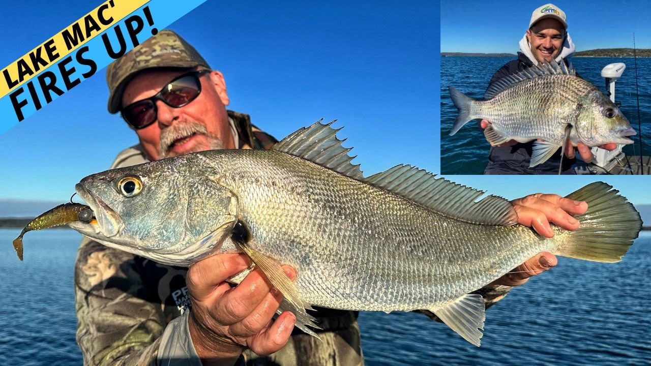 JEWFISH Bonus Caps BIG Day On Lake Macquarie! (This Place Is Amazing ...