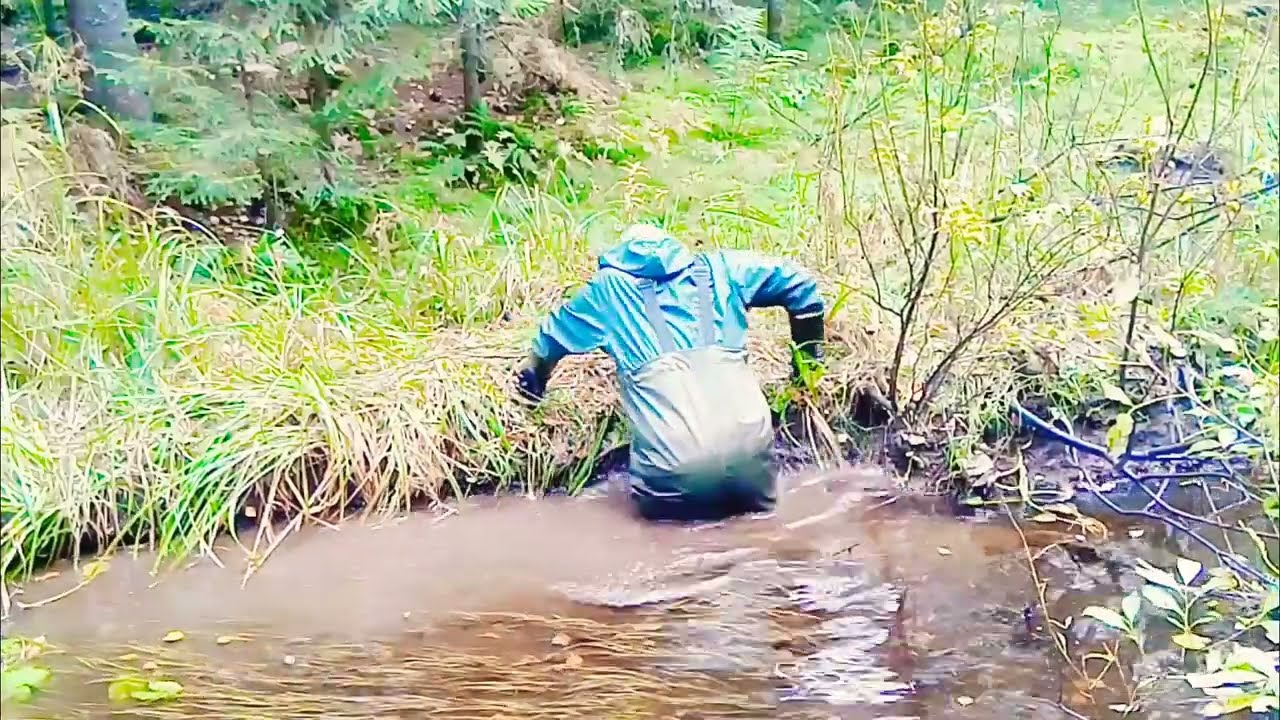 River play - YouTube