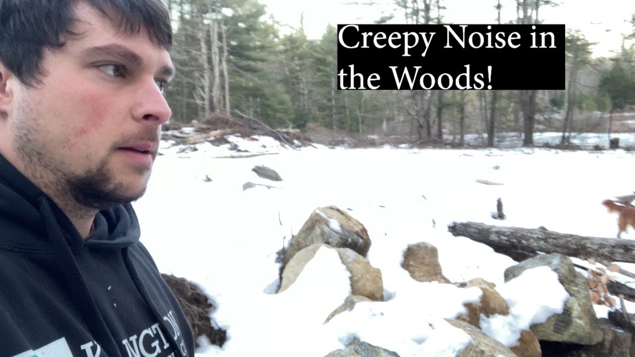 Setting Up Some Maple Lines! - YouTube