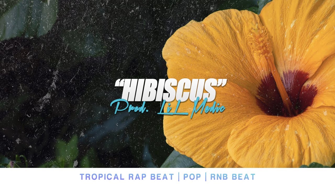 "Hibiscus" Tropical Rap Beat | Khalid Type Beat | Guitar R&B Pop ...