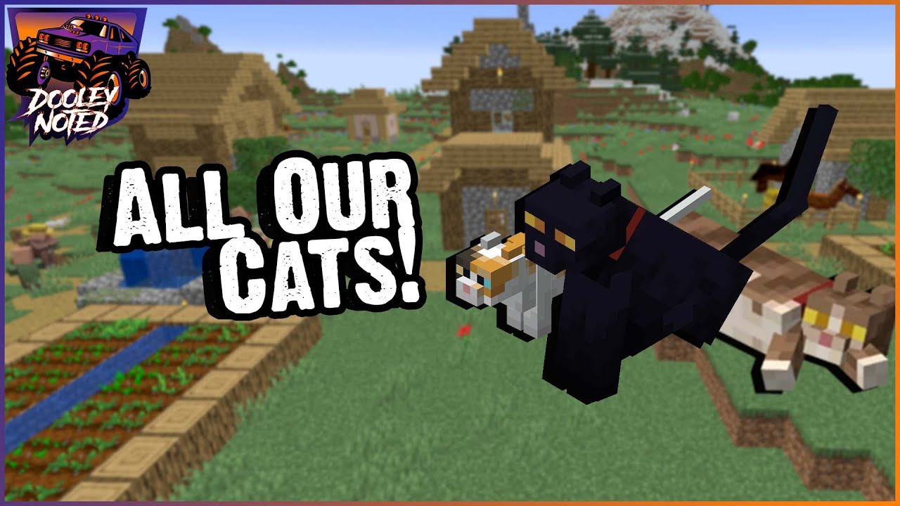 Finding All the Cats! | MC Wall Part 7 | Full Stream from August 3rd ...