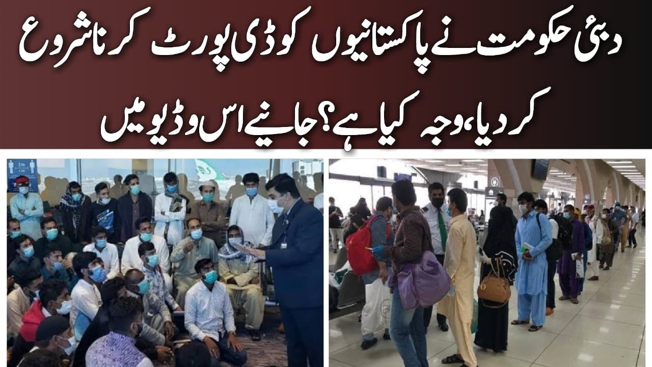 UAE Government starting deported Pakistani passengers - Dubai send back ...