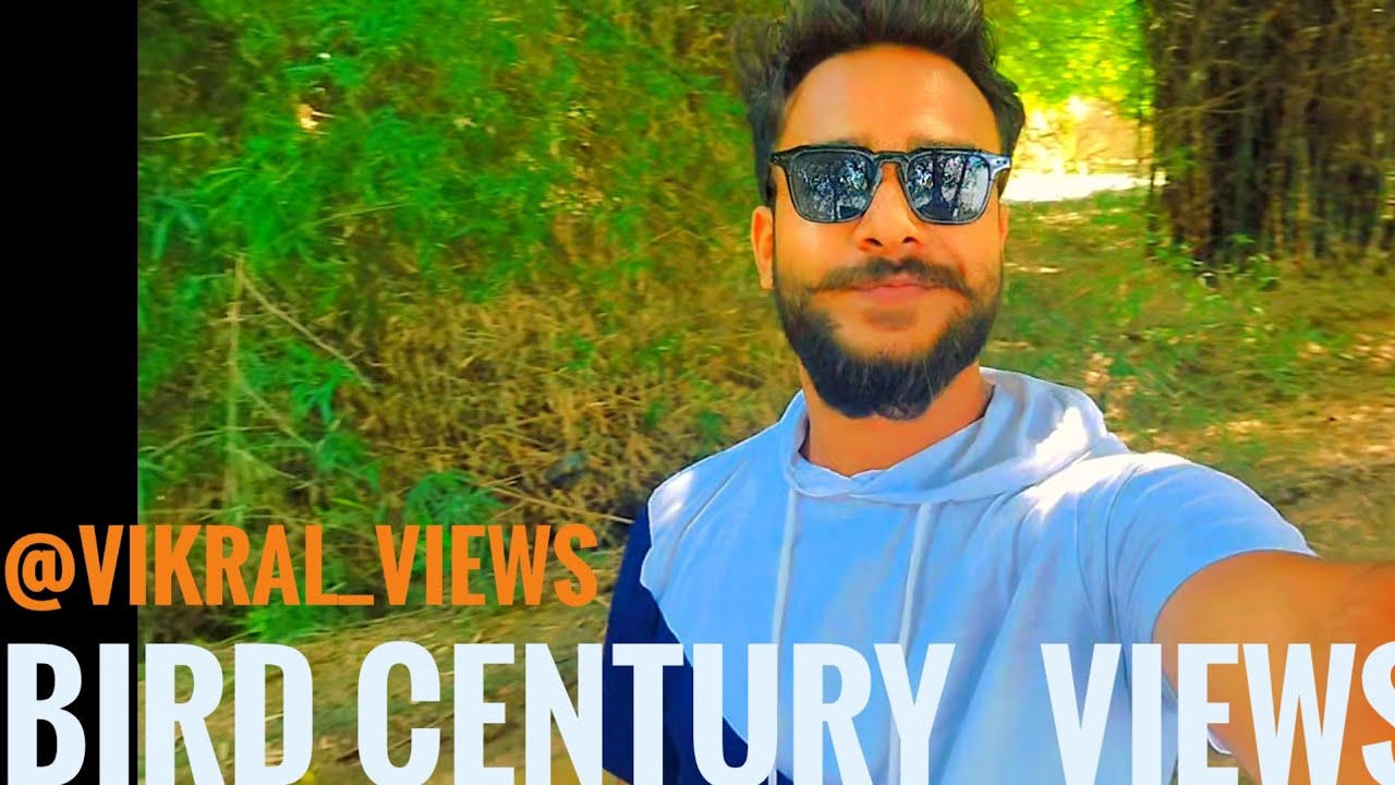 Bird century views @vikral_views #birds #vloggingyoutubers ️first vlog ...
