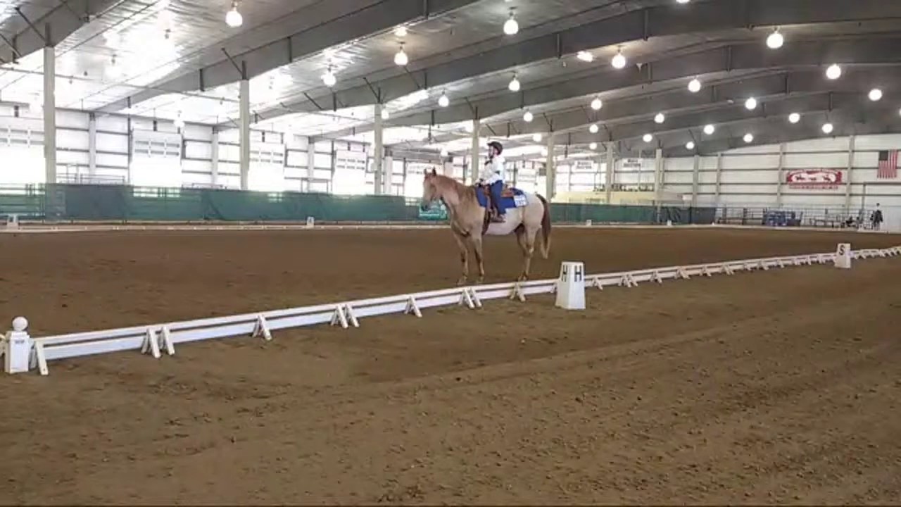 2019 Lancaster County Super Fair - 4-H Horse Dressage Show - Part 2 ...