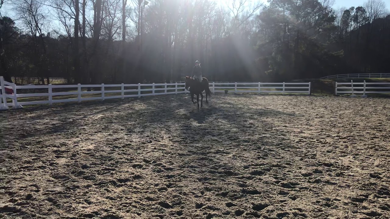 Pesos- jumping cross rails - YouTube