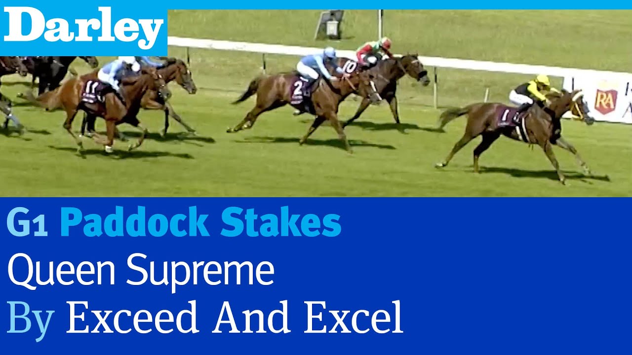 Queen Supreme by Exceed And Excel wins the G1 Paddock S at Kenilworth ...