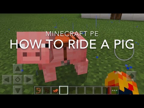 Minecraft PE - How to Ride a Pig - YouTube