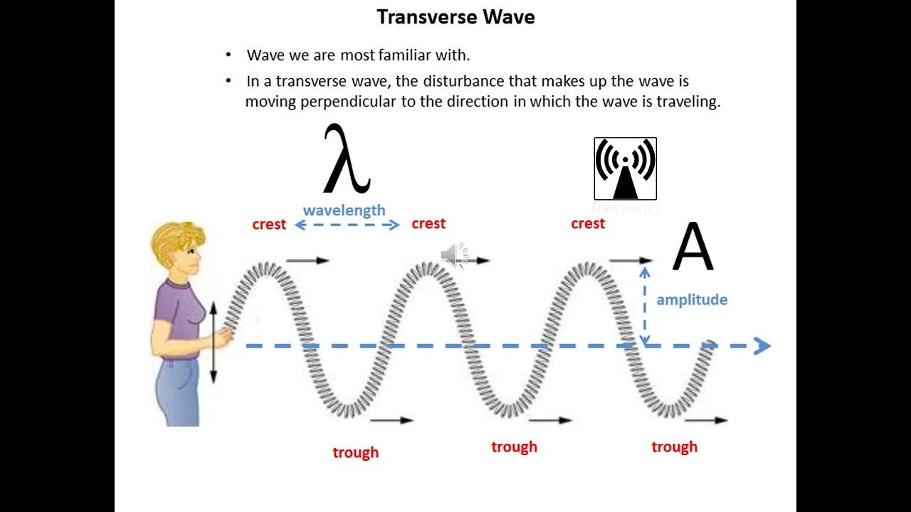 Apologia Physical Science, 2nd Edition Module 14-A Review - YouTube