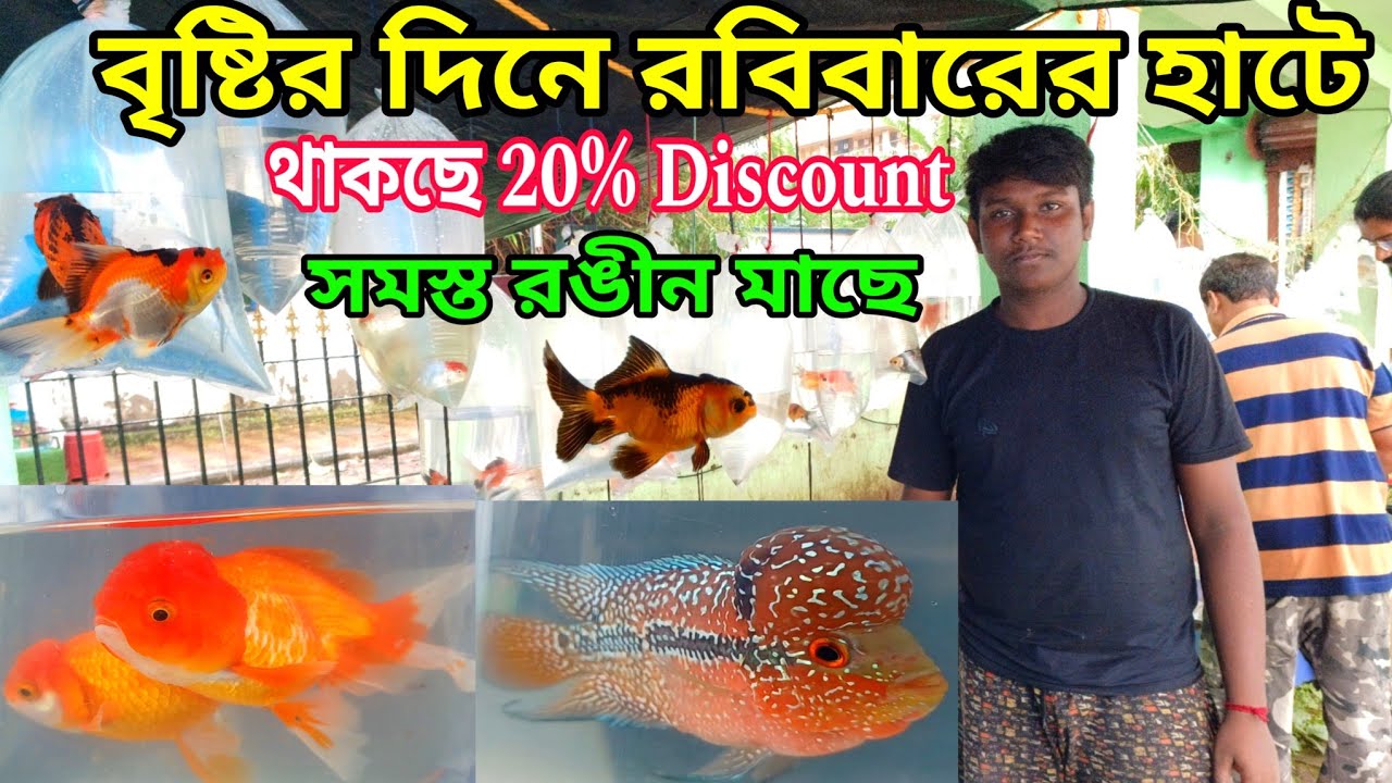 Serampore Fish Pet Market | Serampore Pet Market Hooghly | Serampore ...