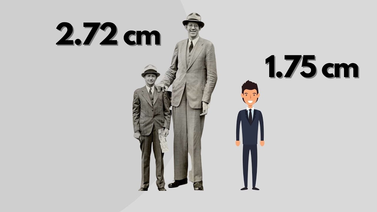Height COMPARISON: Tallest people in the WORLD! - YouTube