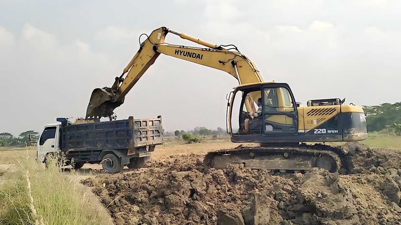 Excavator Hyundai Mengeruk Tanah Di Area Persawahan - YouTube
