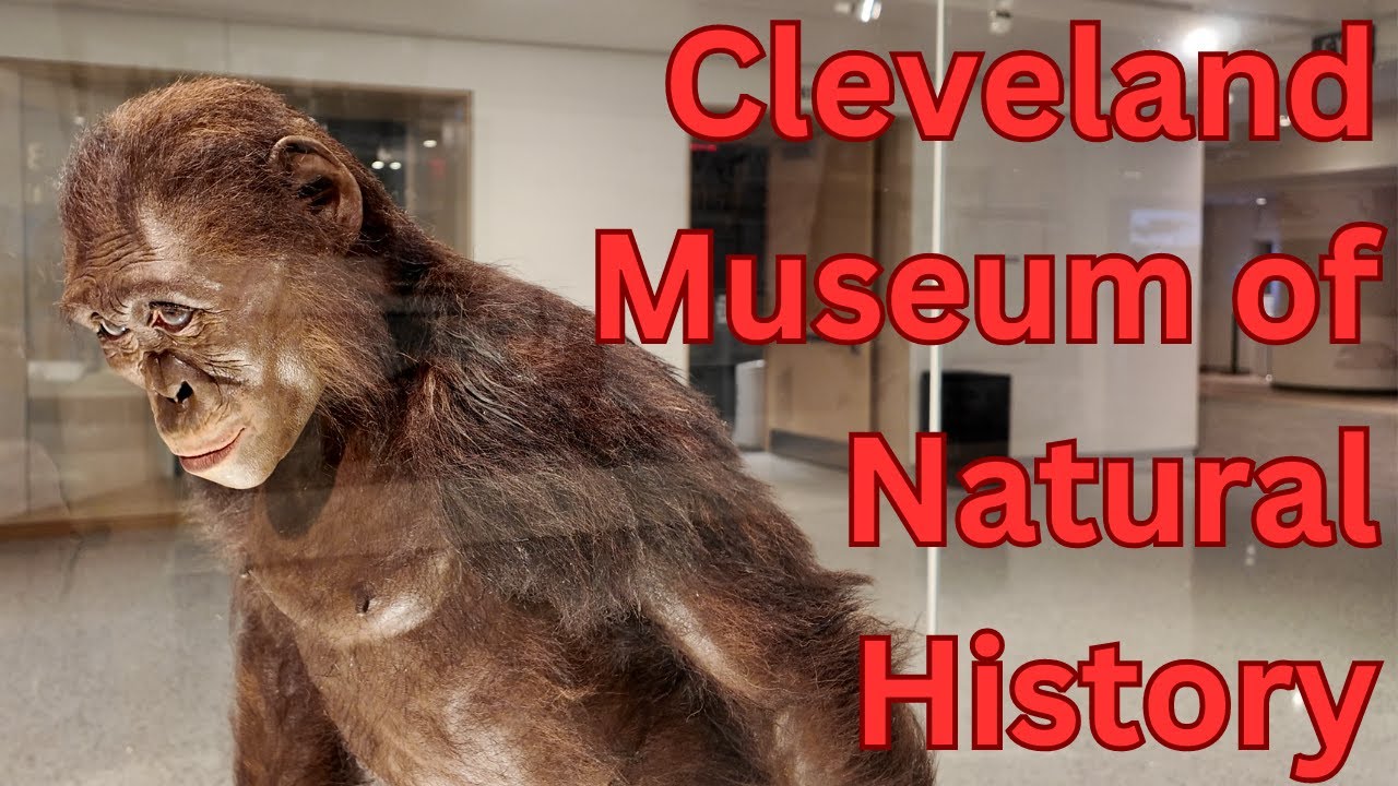 Exploring the Cleveland Natural History Museum Makeover - YouTube
