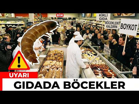 Migros, A101 ve Şok: Gıdalarda böcekler – bu içerikler gerçeği ortaya çıkarıyor