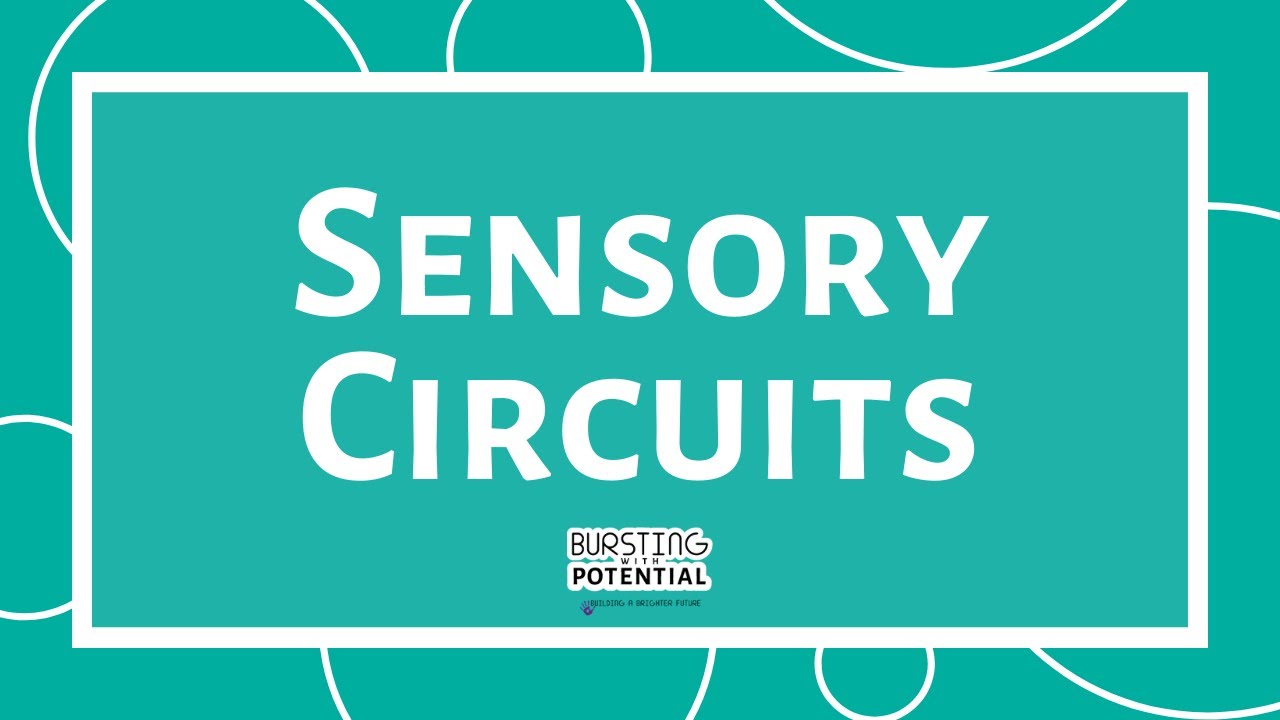 Sensory Circuits 8 - YouTube