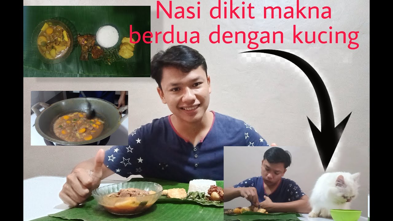 makan daging dengan Kucing - YouTube