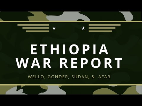 War Report 1: Ethiopia; Wollo (Gashena, Kon, Lasta, Mersa Woldia ...