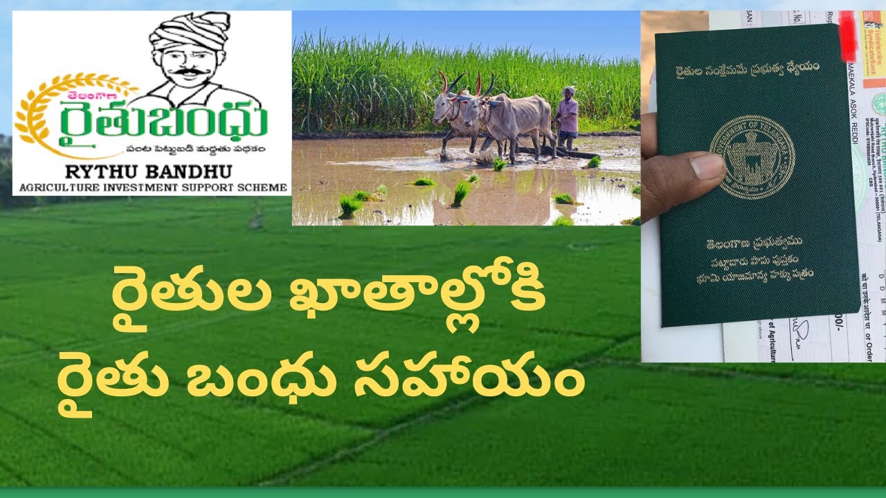 Telangana RYTHU BANDHU amount Release date 2022 //latest Rythu Bandhu ...