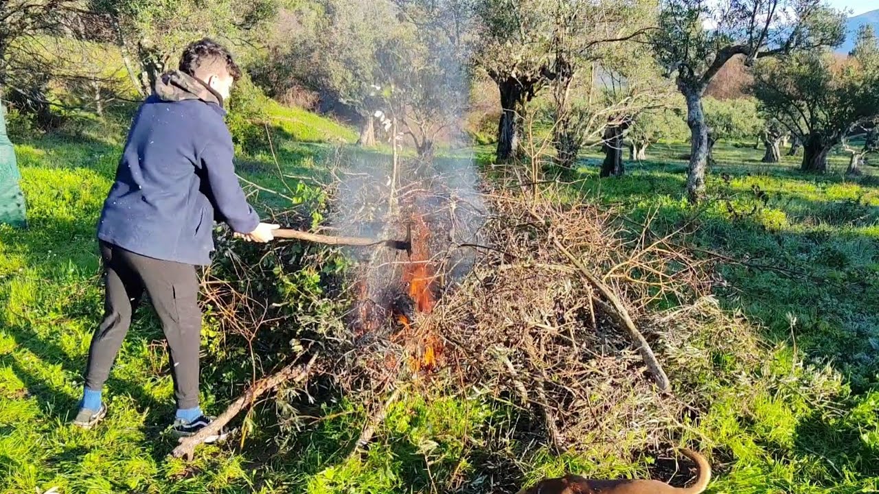 Quemando ramos con mi hermano, nos controlan como al ganao - YouTube