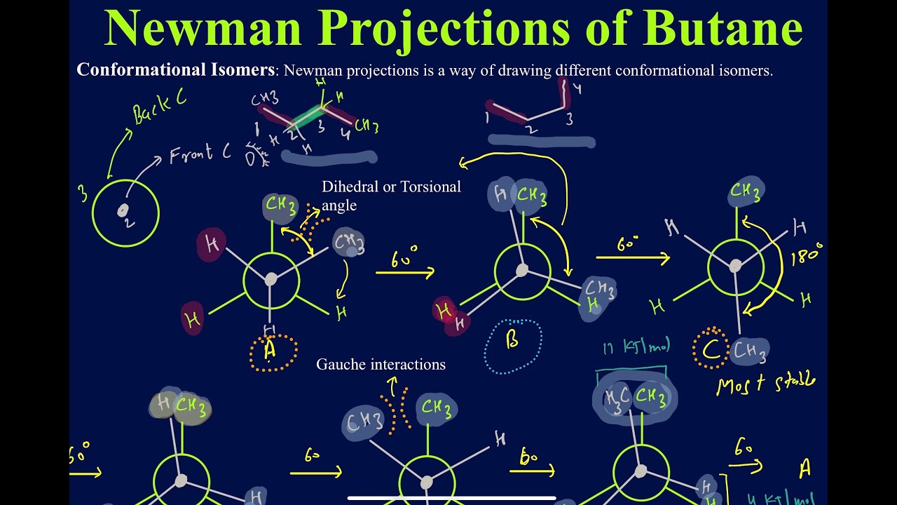 Detailed breakdown of Newman Projections of Butane and their stability ...