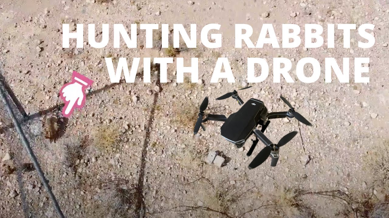 HUNTING RABBITS WITH A DRONE... - YouTube