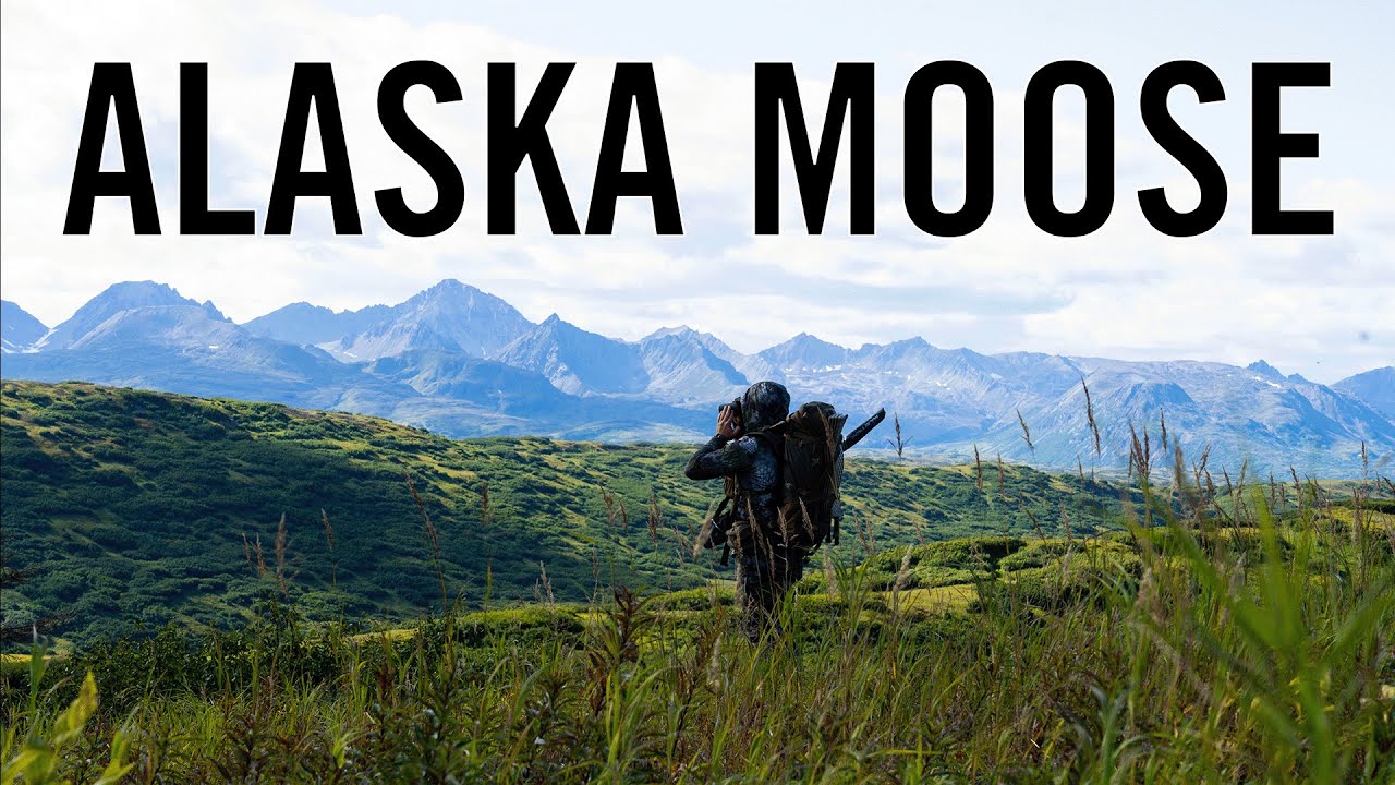 Alaska DIY Moose Hunt | "Bugs" | 4K - YouTube