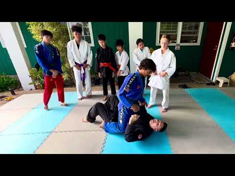 Fun Self-Defense against Multiple Attackers part 1: The Human Avalanche ...