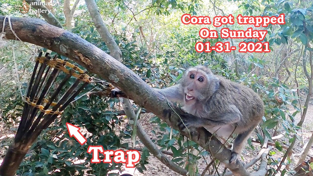 Finally I got the help from my buddy, Mao, and many Apsara Authority ...