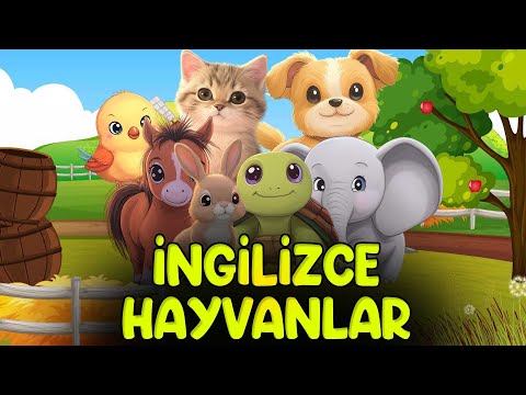 İNGİLİZCE HAYVANLAR / EĞİTİCİ VİDEO (KEDİ, KÖPEK, AT, FİL, KUŞ İNGİLİZCESİ)