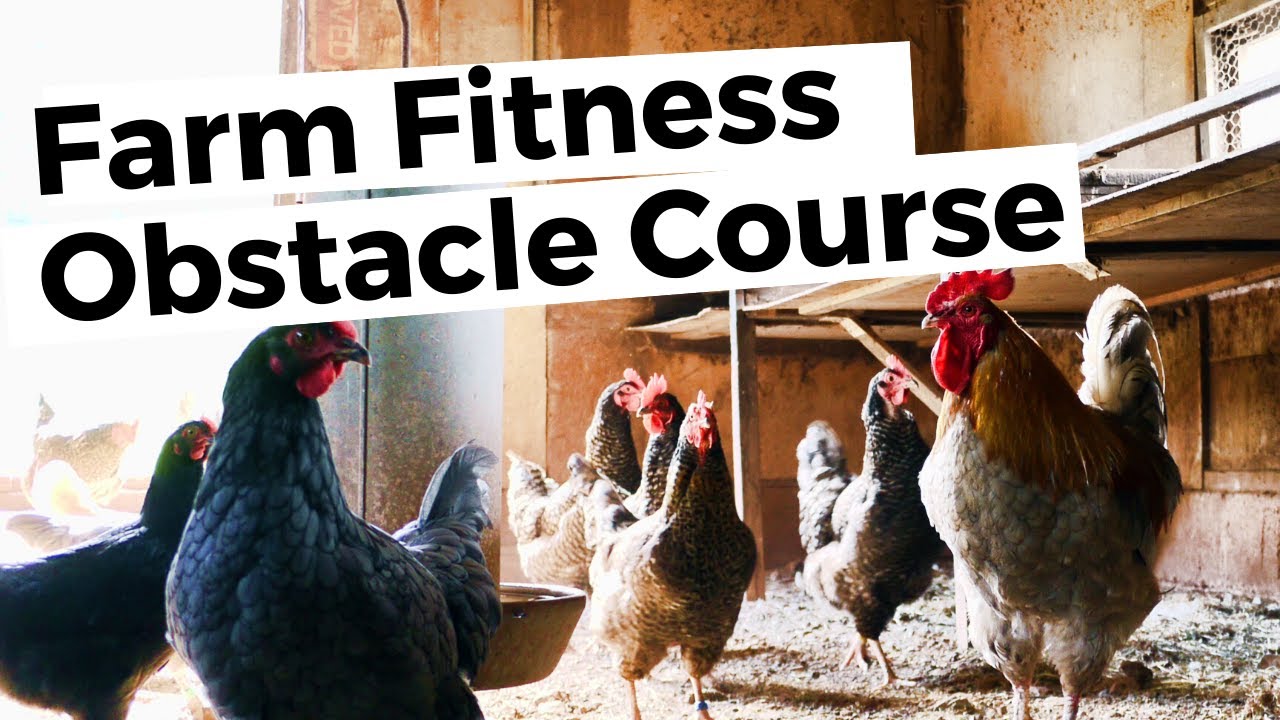 Farm Fitness: Obstacle Course - YouTube