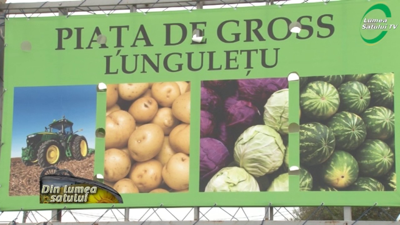 La Lunguletu, varza si cartoful sunt culturile de baza - YouTube