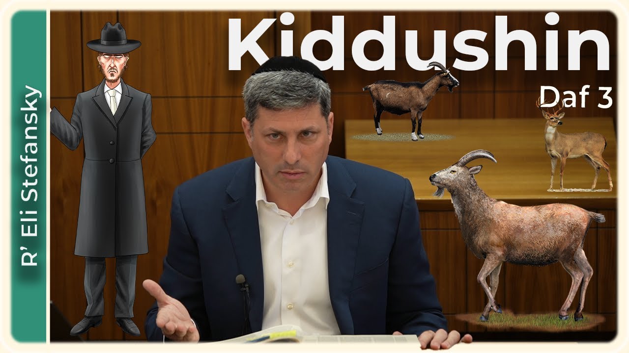 Daf Yomi Kiddushin Daf 3 by R’ Eli Stefansky - YouTube