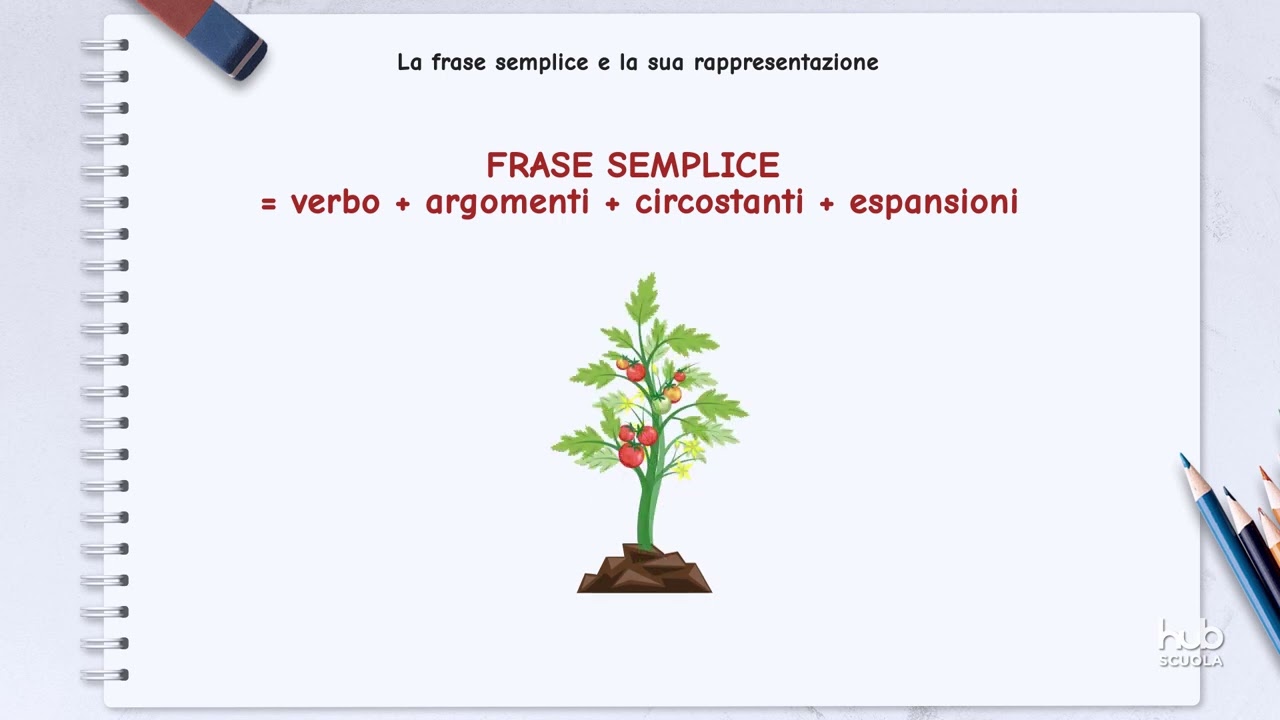 Video - La frase semplice e la sua rappresentazione - YouTube