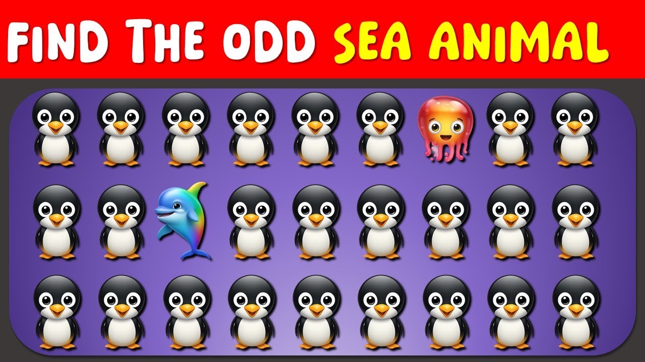Find the ODD One Out - Sea Edition 🐬🐚🦑 Ocean Animals And Fishes Quiz ...