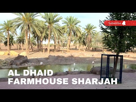 Farmhouse Tour At Al Dhaid UAE - YouTube