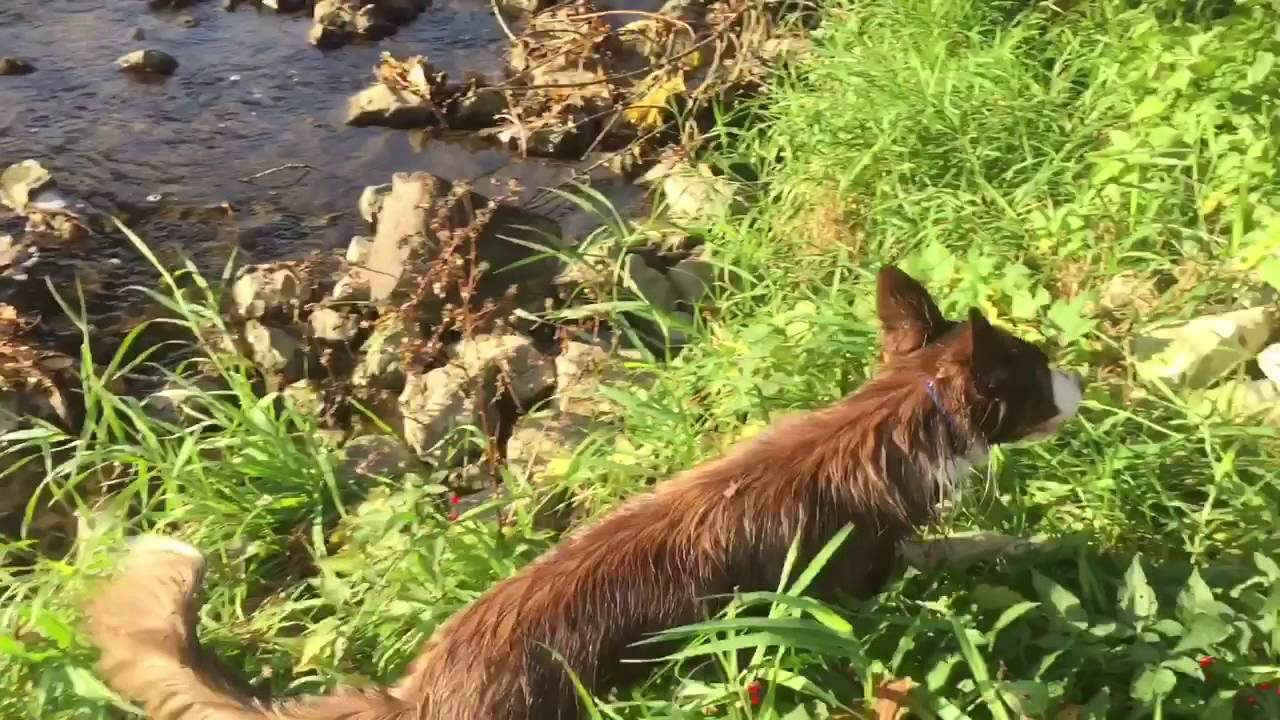 Blowing Off Steam 102216 - YouTube