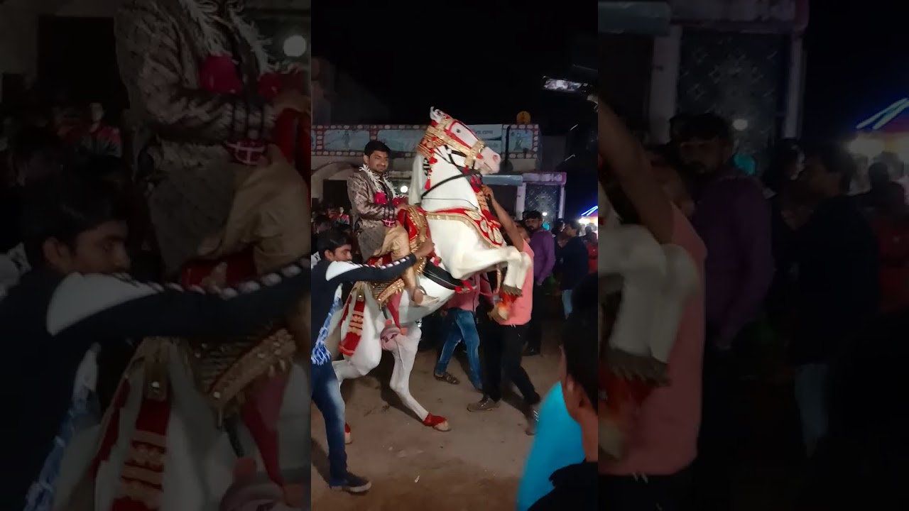 Veer horse. Kalpesh Solanki. Shelgdha. 9512708232 - YouTube