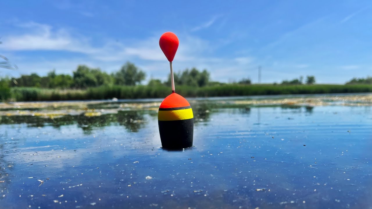 PESCUIT LA SOMN CU PLUTA MARE DE 80g PE VIJELIE PUTERNICA CU RAME ROSII ...