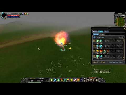 Silkroad - Wizard Mastery Skill / 125 Lev European - YouTube