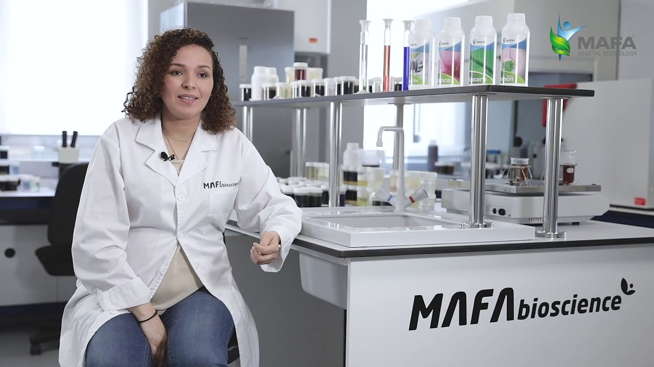 MAFA CORPORATIVE VIDEO - YouTube